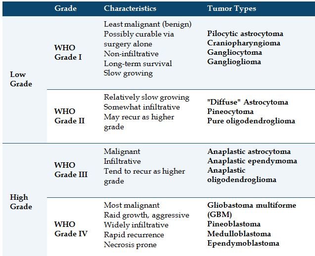 Brain Tumors MetroHealth HMO