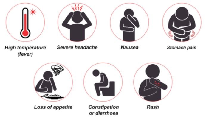 TYPHOID FEVER | MetroHealth HMO